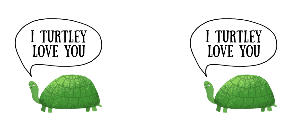 Turtle Love Pictures